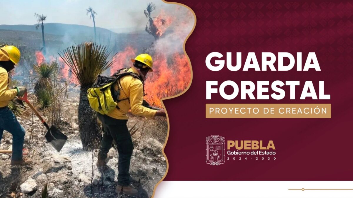 Anuncian creación de la Guardia Forestal de Puebla